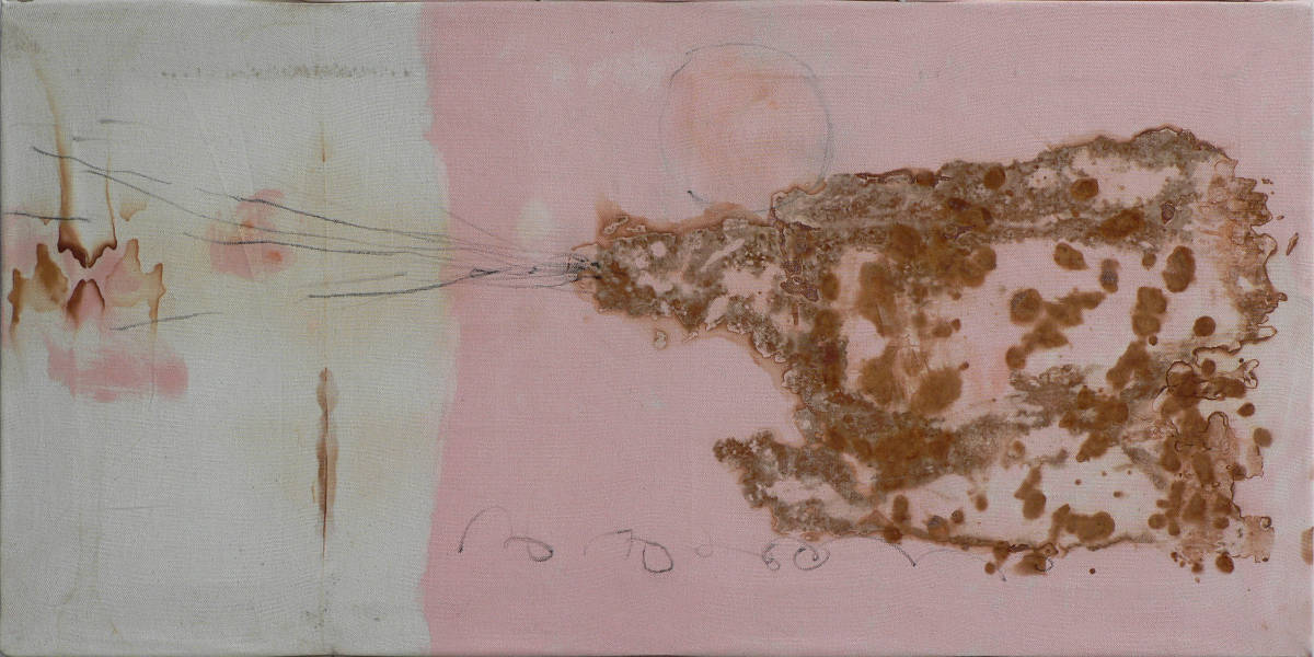 Pinky beast - Mathieu Salomon